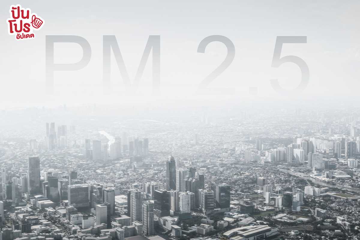 รวม! แอปพลิเคชันวัดค่าฝุ่นละออง PM 2.5 โหลดได้ทั้ง iOS และ Android | ปันโปร - Punpromotion